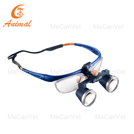Medical Magnifying Glasses
