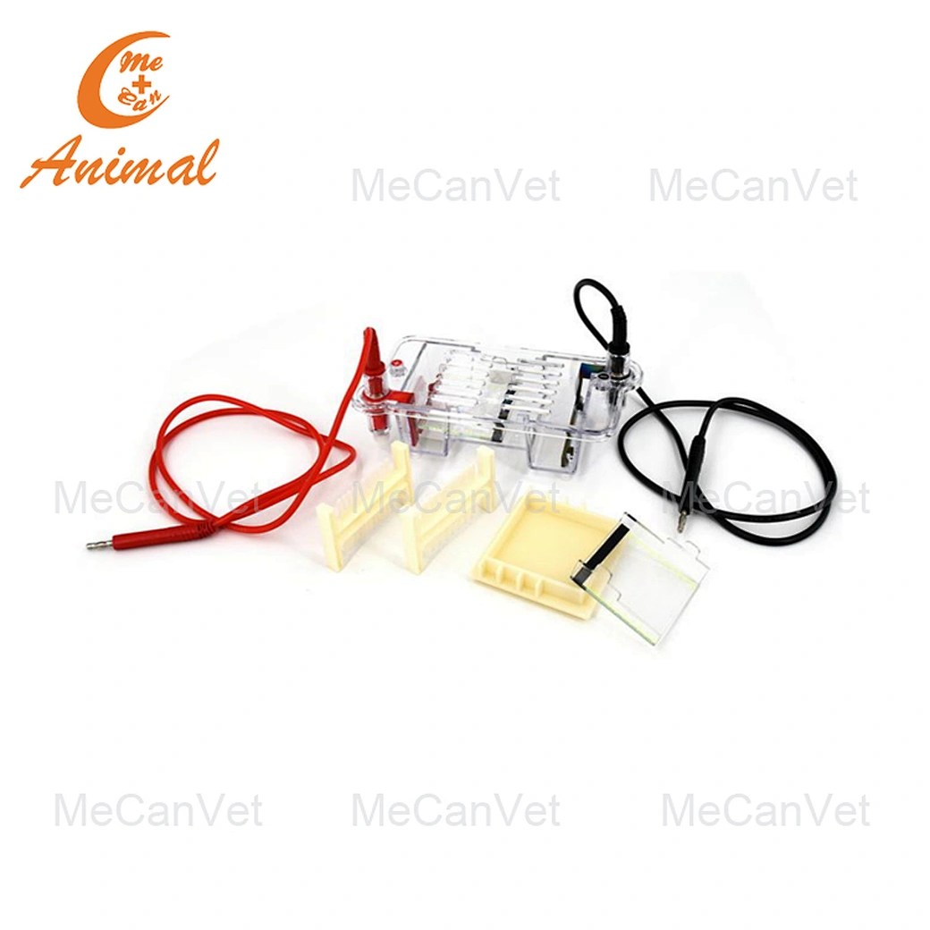Horizontal GEl Electrophoresis Tank Supplier | Mecan Animal