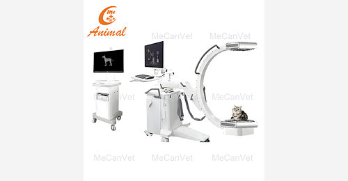 China Mobile Veterinary C-Arm Machine Manufacturer