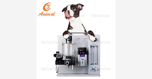 Portable Anesthesia Machines for Veterinary Use