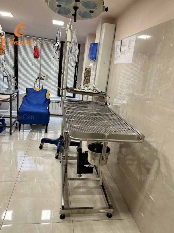 Armenian Customer Rave About MeCan's Animal Tables