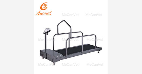Dog Running Machine