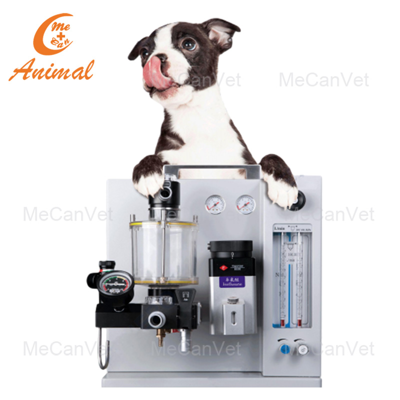 Portable Anesthesia Machines for Veterinary Use