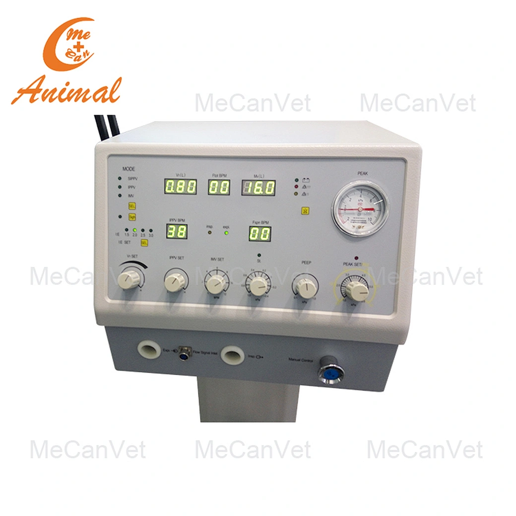 Animal Anesthesia Ventilator Manufacturer | China Supplier