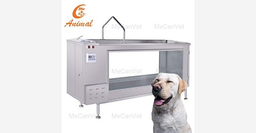 Underwater Dog Treadmill for Canine Rehabilitation | MeCanAnimal