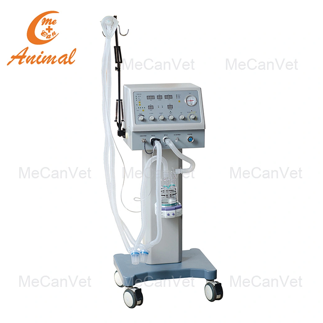 Animal Anesthesia Ventilator Manufacturer | China Supplier