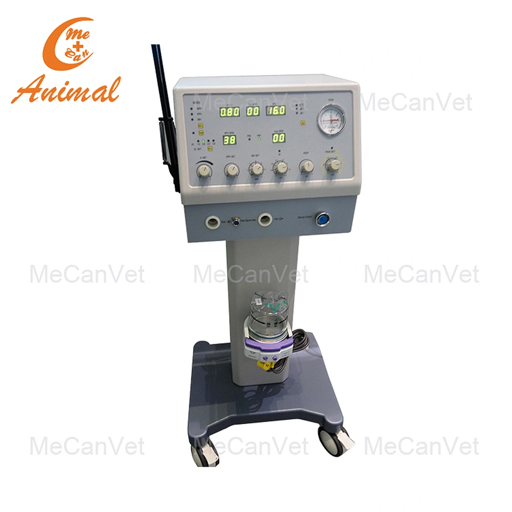 Animal Anesthesia Ventilator Manufacturer | China Supplier