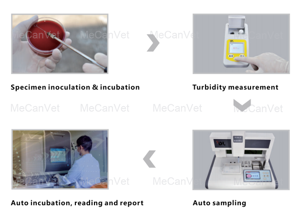 Auto Microbial ID/AST System | MeCan Animal