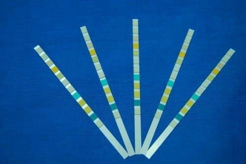 URS-10T Urinalysis Reagent 10 Parameters urine test strips
