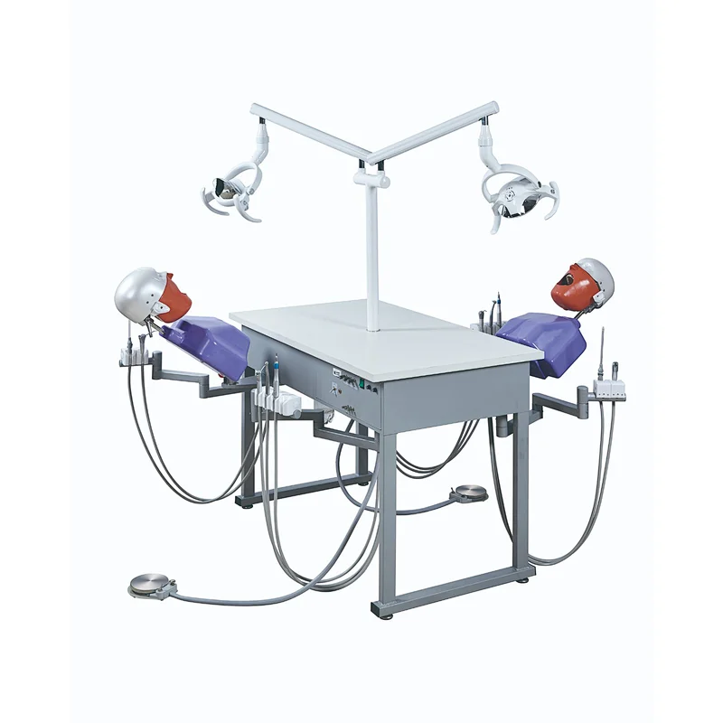 Dental Simulator unit Education Simulation Models for University Training