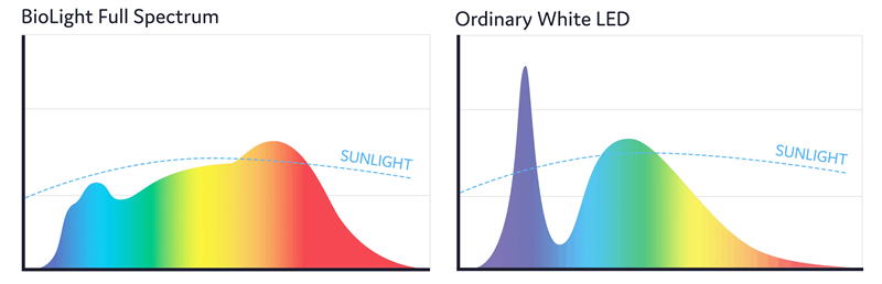 What is full spectrum light? - Hanron Lighting