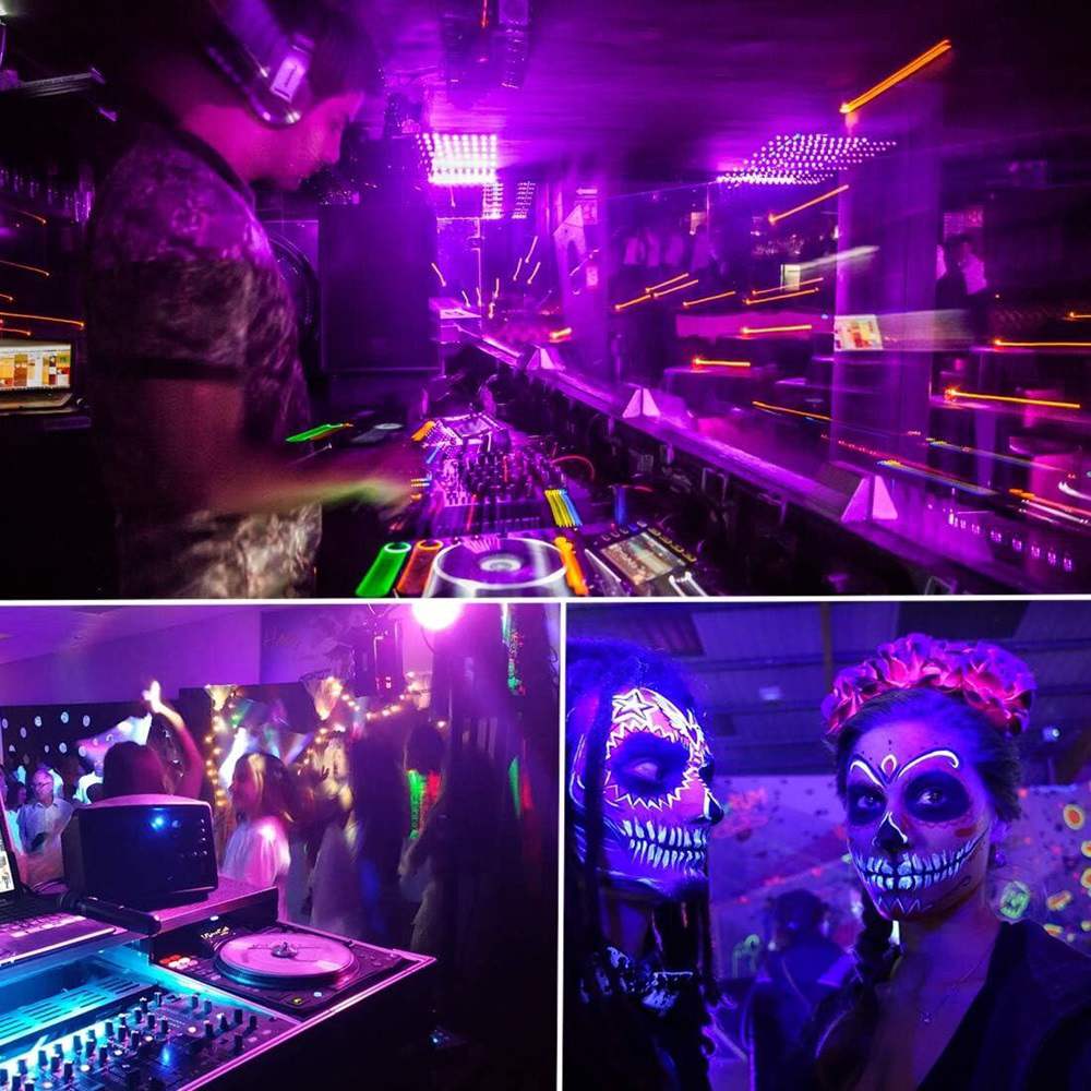 Ultraviolet 5V 12V 24V 365nm 395nm uv led strip light