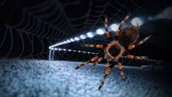 Do LED Lights Attract Spiders? -- Hanron Lighting