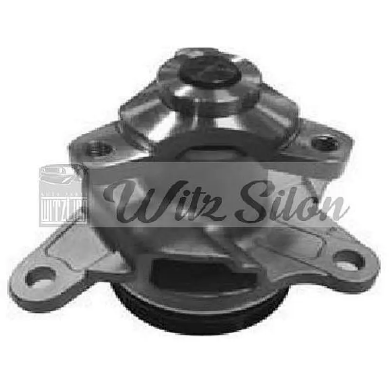 WATER PUMP 210108796R RENAULT / RENAULT Grand/-p-WITZ SILON TECHNOLOGY ...