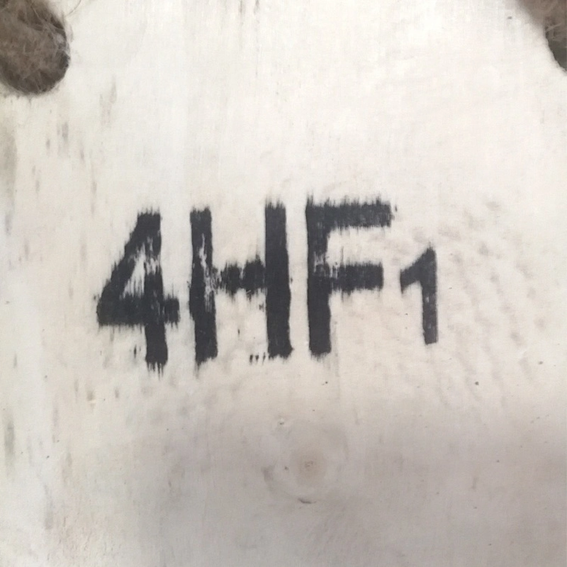 High Performance Forging or Casting Crankshaft 4hf1 For Isuzu Truck 8 ...