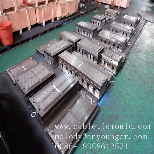 2014 China nylon cable ties mould , plastic cable moulding , cable tie ...