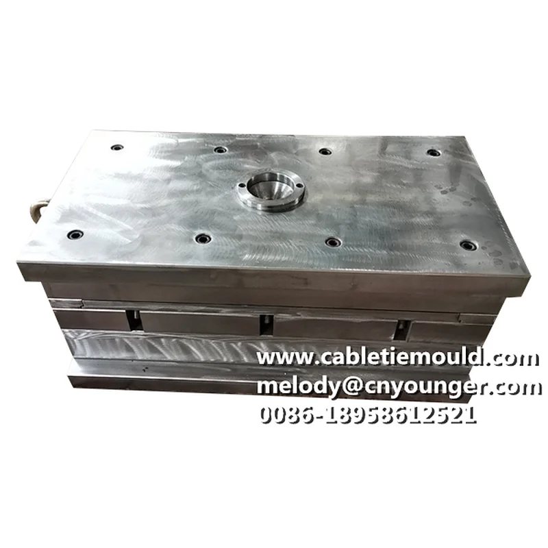 wall plug mould