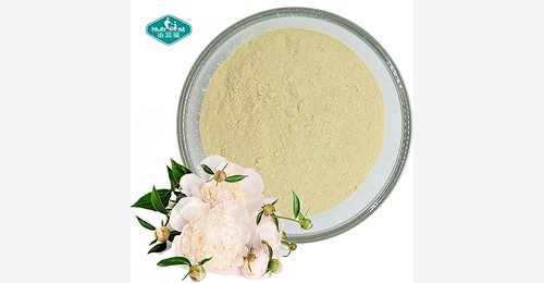 White Peony Root P.E Paeoniflorin Extract Powder Paeonia lactiflora ...