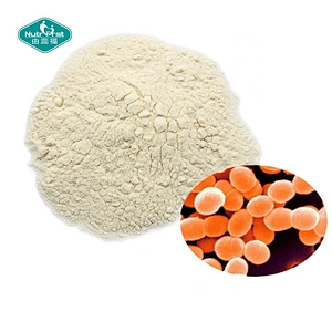 Nutrifirst Probiotics Products Lactococcus Lactis Powder Immune Booster ...