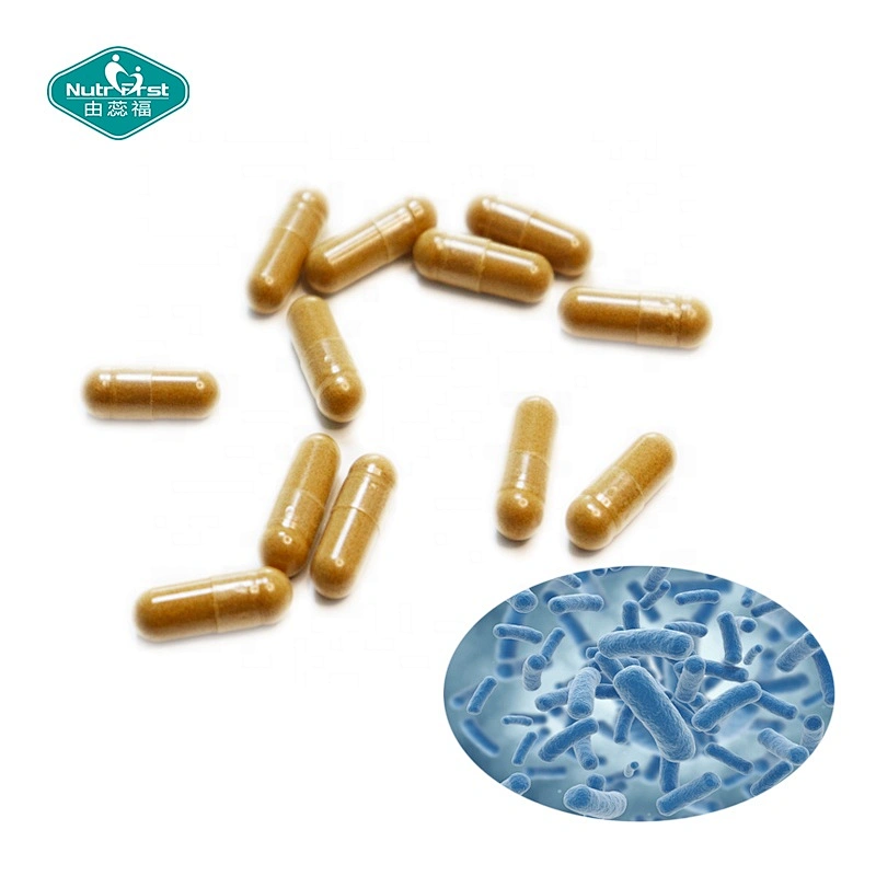 Nutrifirst OEM Probiotics Supplements Chicory Root Extract Probiotic ...