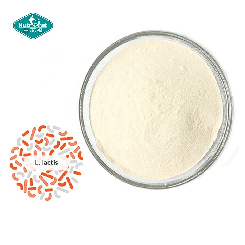 Nutrifirst Probiotics Products Lactococcus Lactis Powder Immune Booster ...