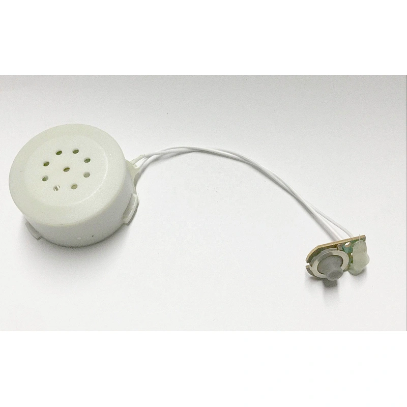 Press Button Recordable Music Box from China Manufacturer - GDP Toys ...