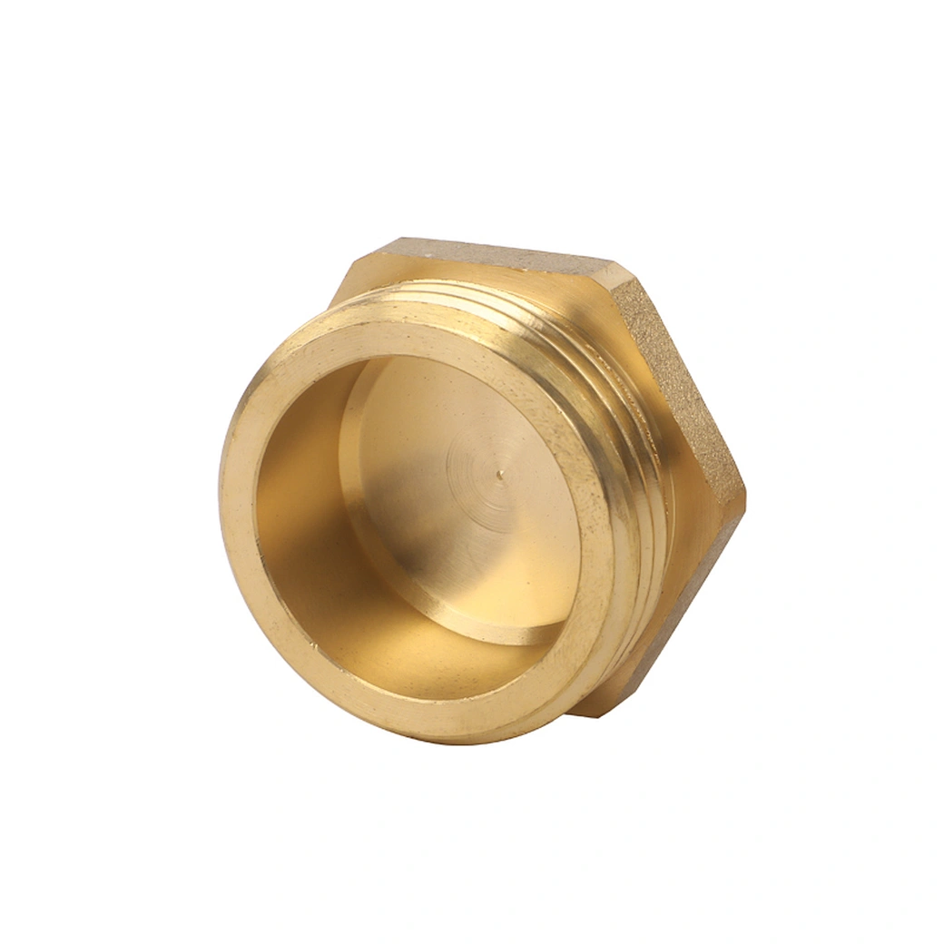 1/2" Outer Brass Pipe Fitting Cored hex plug