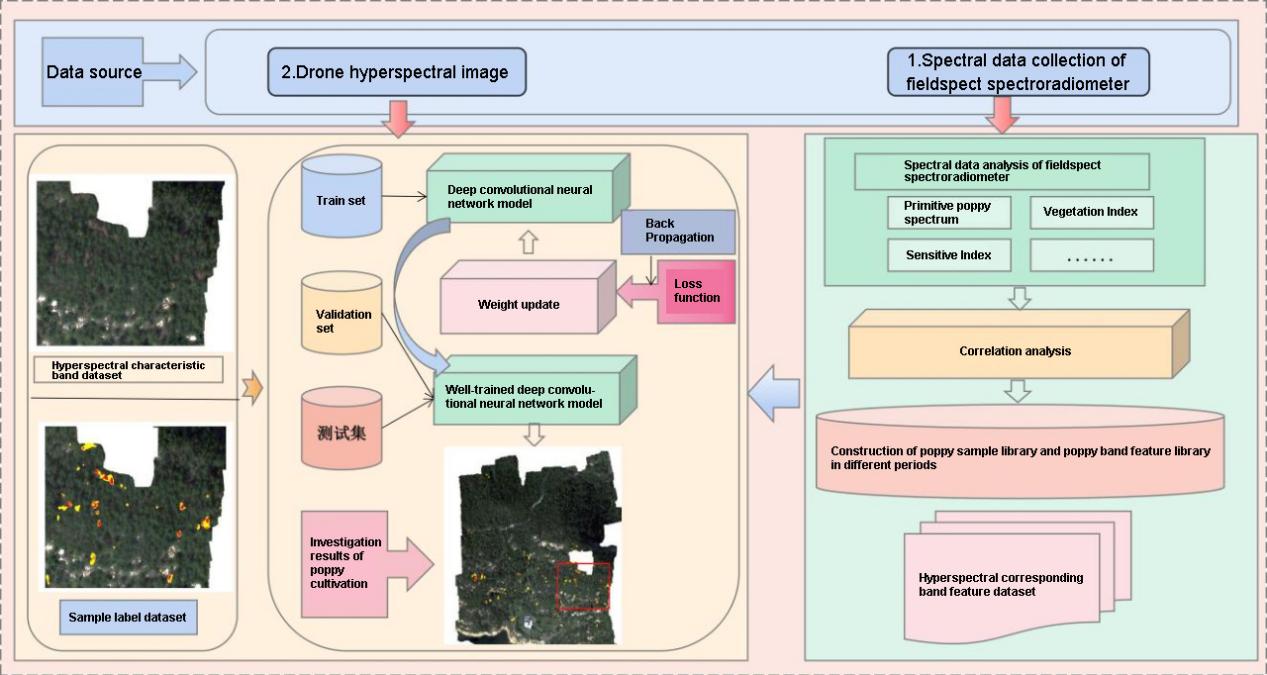 UAV-based hyperspectral poppy rapid monitoring solution - 奥谱天成（厦门）光电有限公司