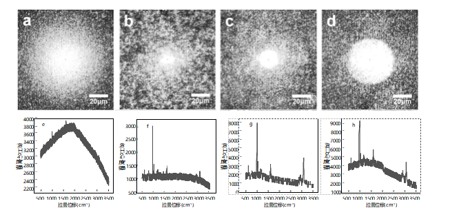 A detection method of small-sized microplastics based on micro-Raman ...