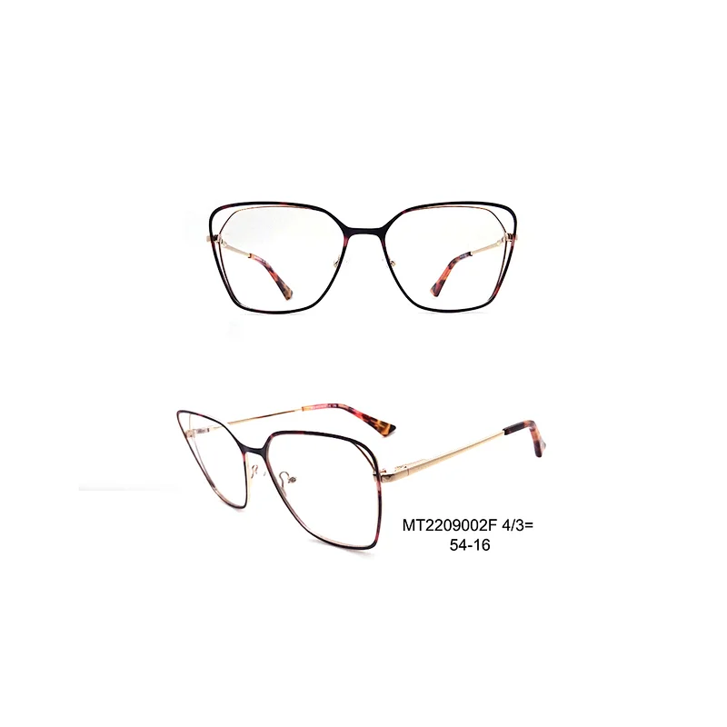Customized Double Rim Metal Eyewear Wholesale- Wenzhou Focus