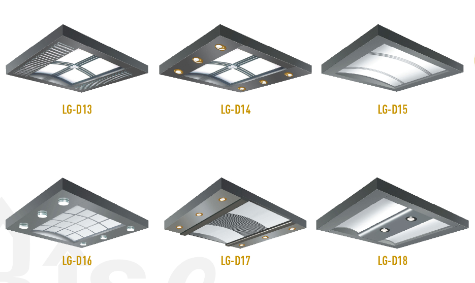 Passenger Elevator, passenger lift, Passenger Elevator Supplier - LG