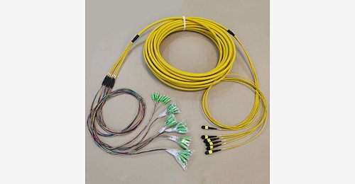 48 Core Mpo Apc Sc Apc Single Mode Sm Multi Core Fan Out Fiber Optic Patch Cable Lszh G652d