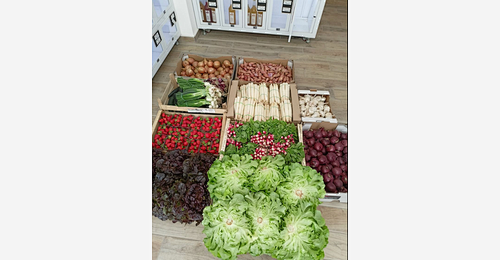 Which is the best Farm produce vending solution? Cooling vending locker ...