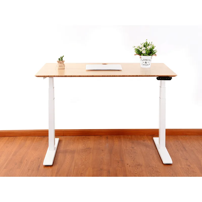 dual motor stand desk