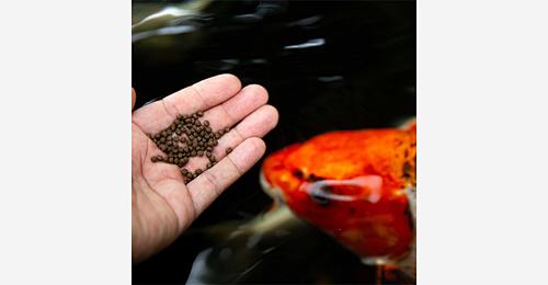 Sodium Polyacrylate Feed Additives Feed binder Factory