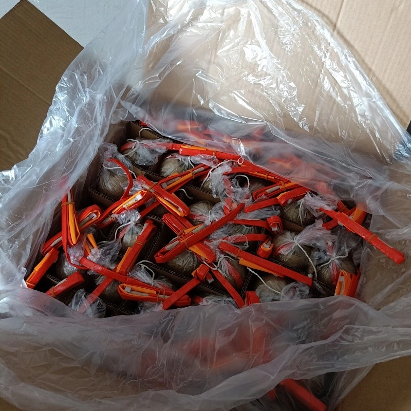 6 Inch Fireworks Shells , - Mossfireworks