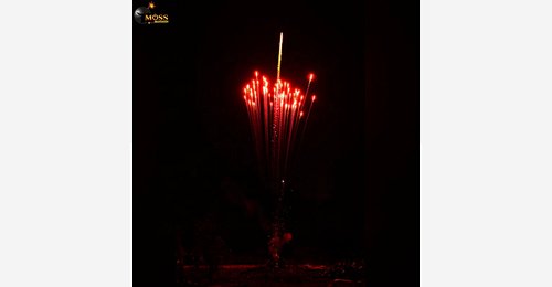single shot fireworks new year , - Mossfireworks