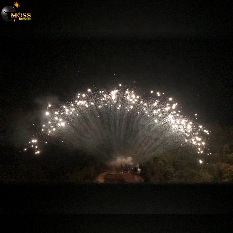 1.2 Inch 19 Shots Firework Mines Stage Mines Firework Firecrackers ...