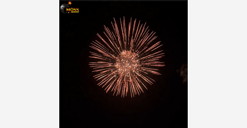 5 inch display shell fireworks wholesale salute shells , - Mossfireworks