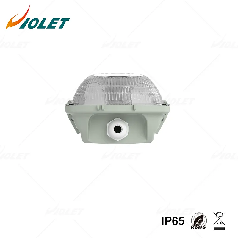 IP65 LED Tube Light Twin Batten Light Supplier | Violetlighting