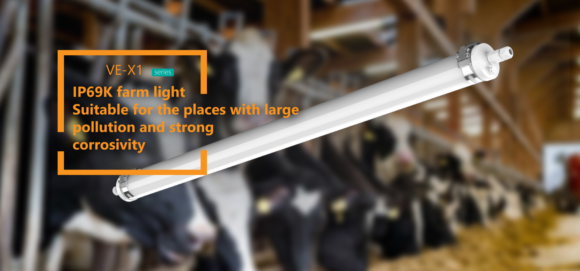 LED Tri Proof Lamp, Waterproof LED Batten Light, Ceiling Light ...