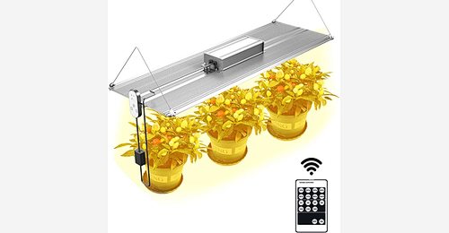 wholesale Quantum Grow Lights - Aurora