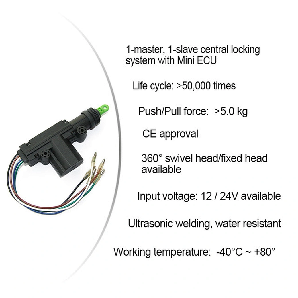 Mabuchi Central locking system|Promata