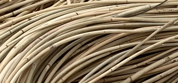 Wholesale Cane Core - In Bulk Cane Rolls | YeeyaHome