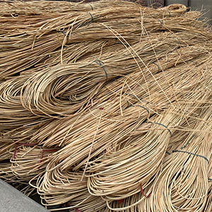 What Is Rattan - YeeyaHome