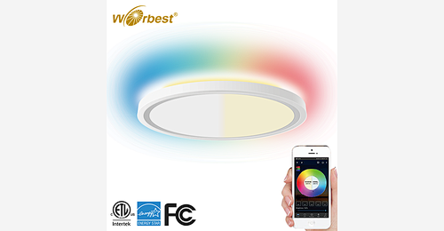 Round LED Panel Light Ceiling Light APP Voice Control,LED Ceiling Light ...