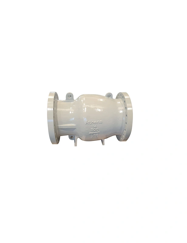 Top axial flow check valves manufacturer | Athena S.R.L