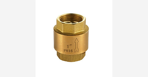 CHECK VALVE WITH BRASS IN SET from China Manufacturer - BEIJING SANI-METAL