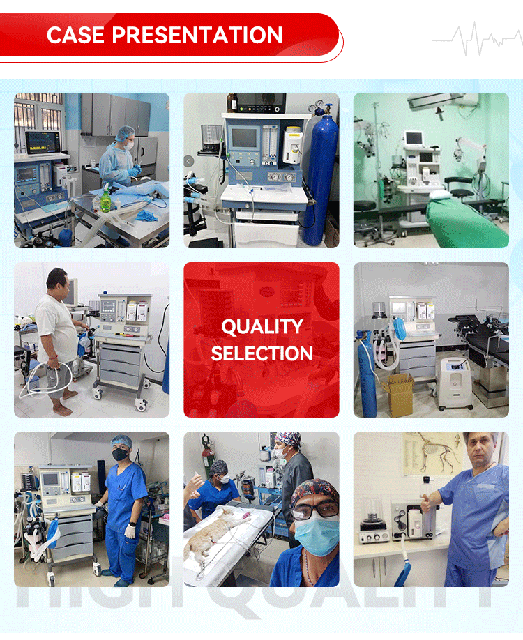 Portable Anesthesia Machine with APL Valve Manufacturer