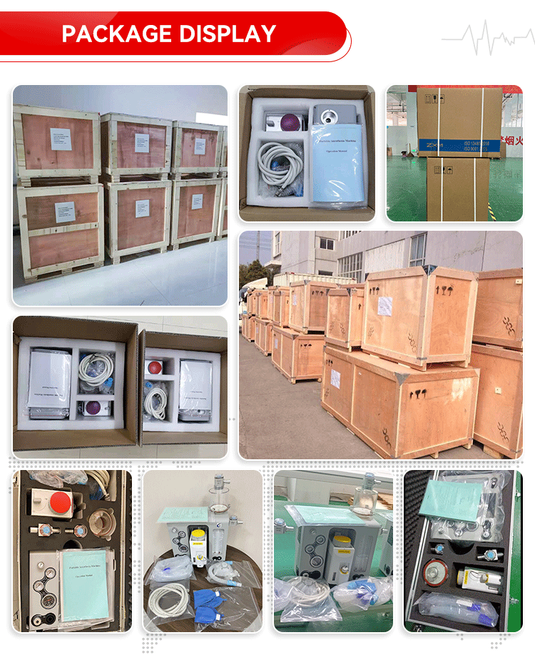 Portable Anesthesia Machine with APL Valve Manufacturer